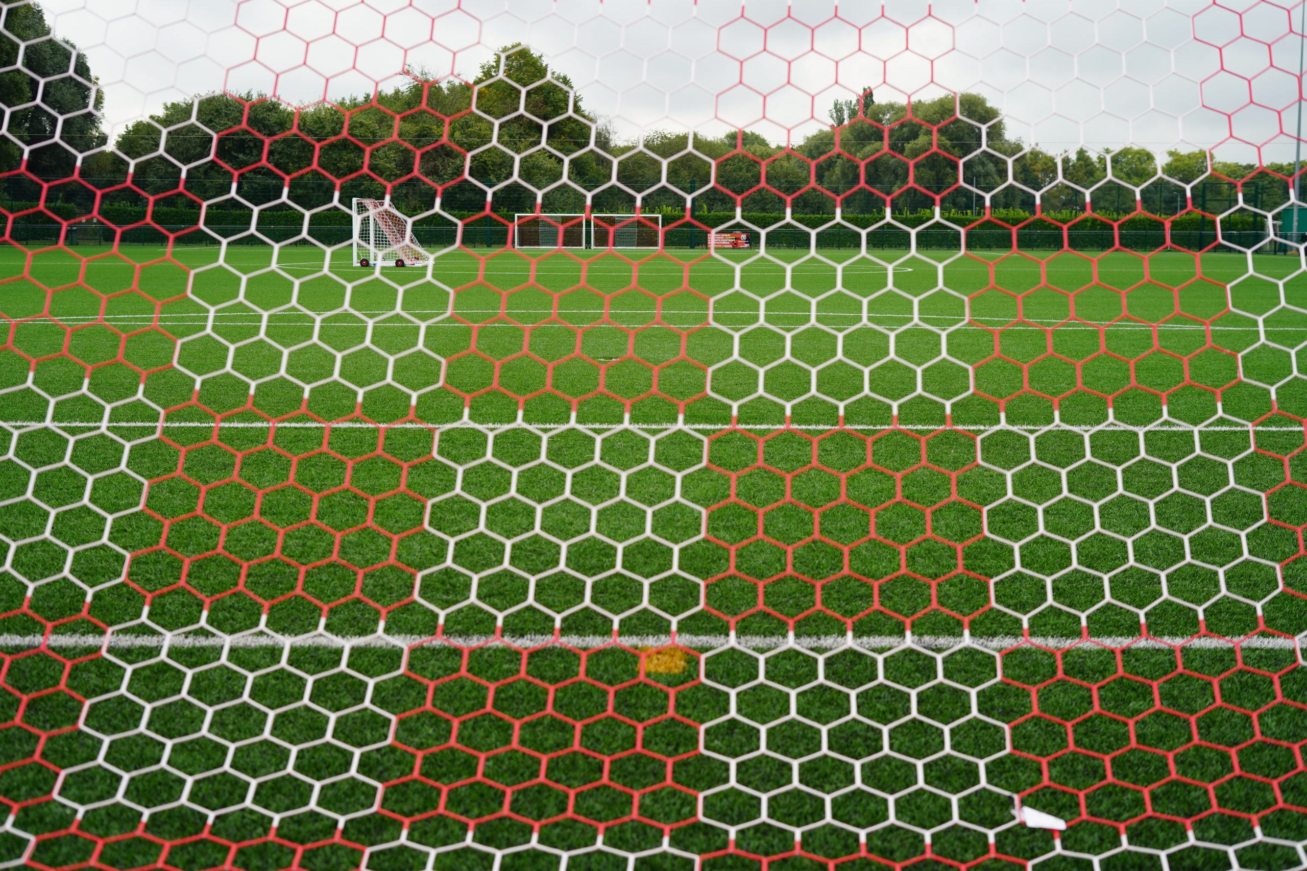 24x8ft Hexagonal Chequered Socketed Box Nets - Mark Harrod