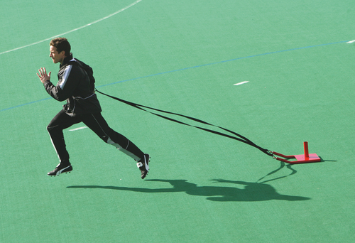 Speed Sled - Mark Harrod Ltd.