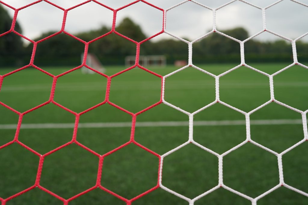 24x8ft Hexagonal Vertical Two Colour Socketed Box Nets - Stadium