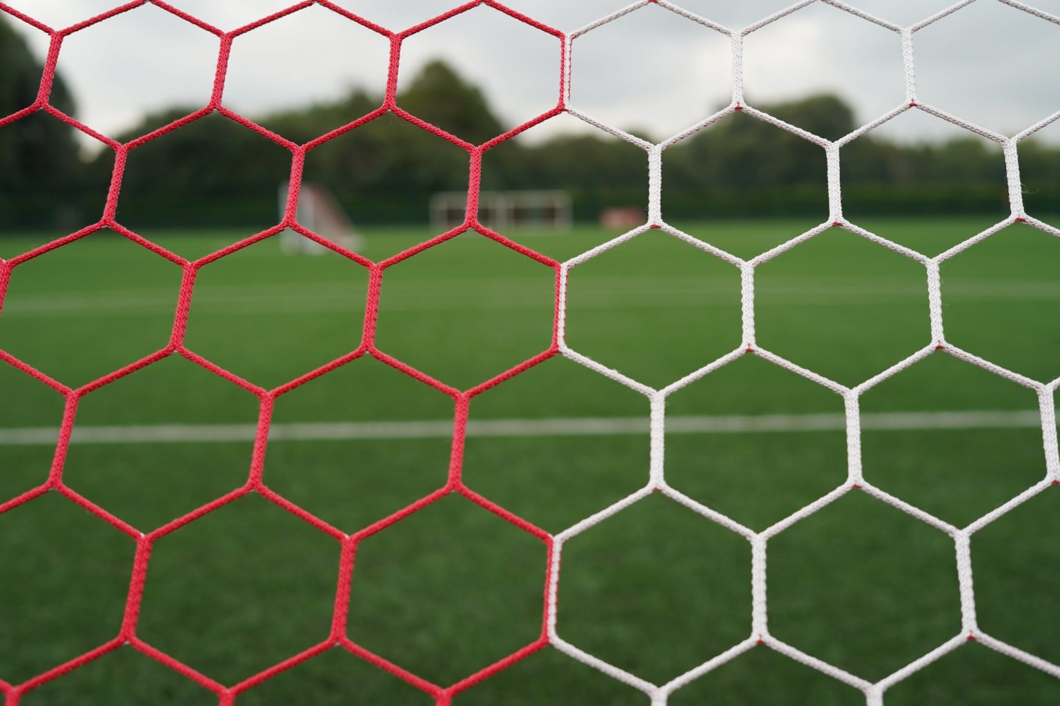 24x8ft Hexagonal Two-Colour Chequered Socketed Nets - Mark Harrod Ltd.
